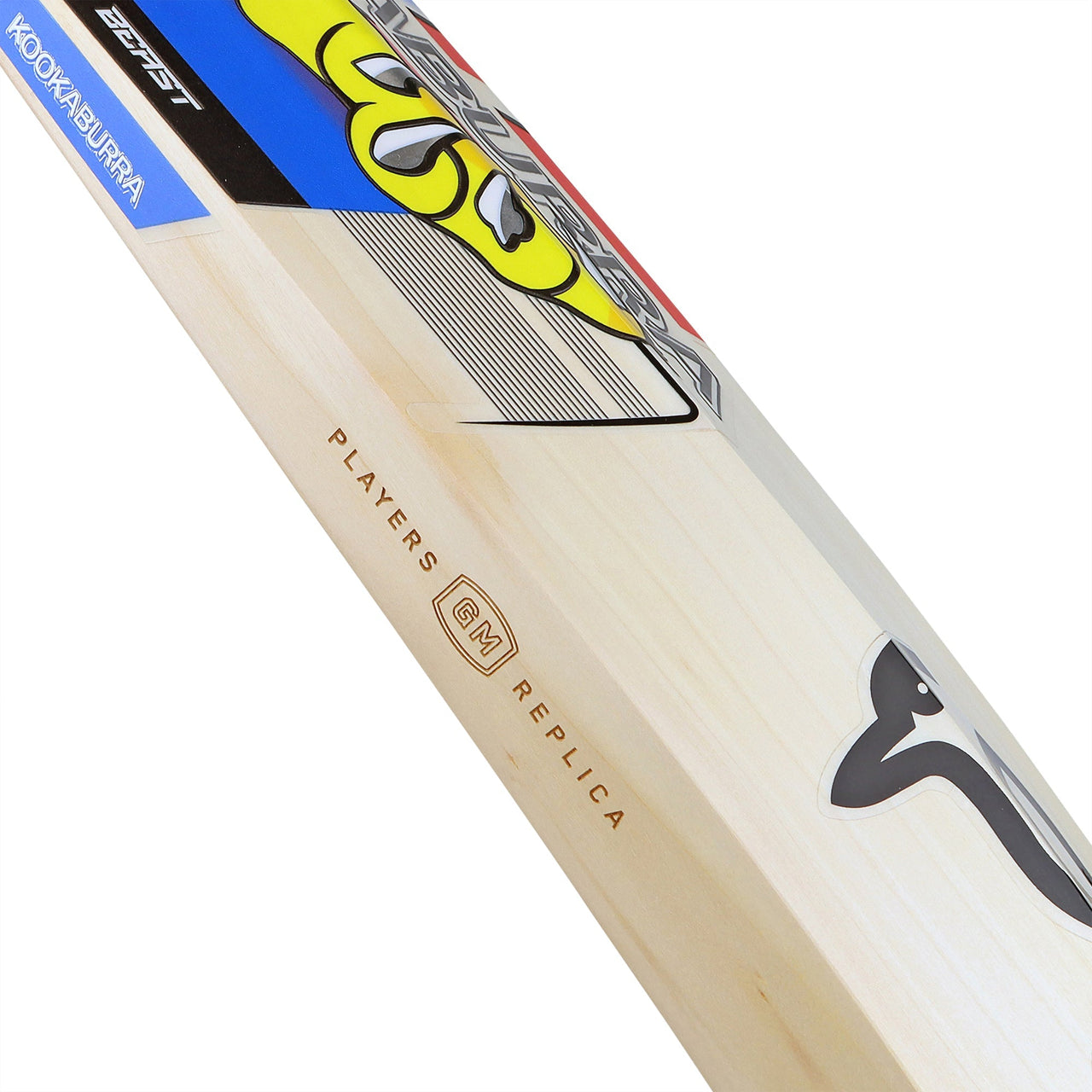 Glenn Maxwell Beast Cricket Bat in India | Power Hitter’s Choice ...