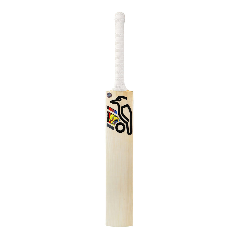 Glenn Maxwell Beast Cricket Bat in India | Power Hitter’s Choice ...