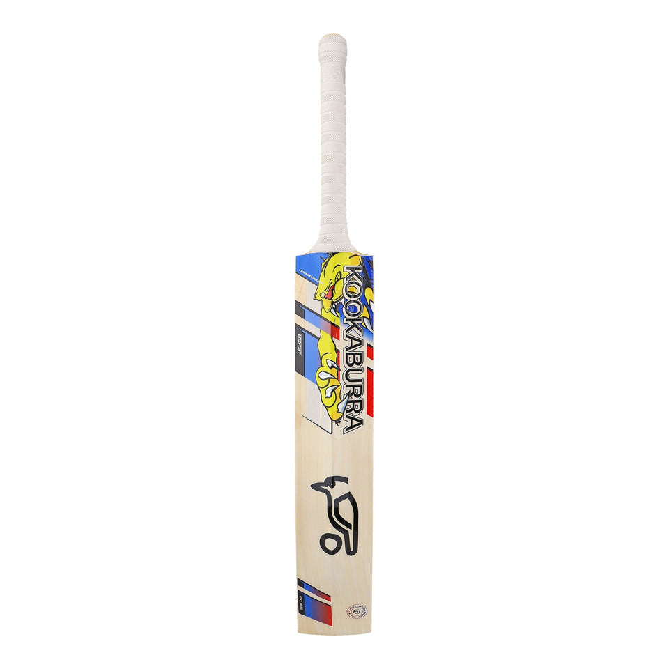 Glenn Maxwell Beast Cricket Bat in India | Power Hitter’s Choice ...