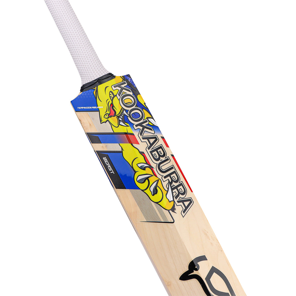 English Willow Cricket Bat Beast Pro 6.2 (Combo) | Traditional Toe ...